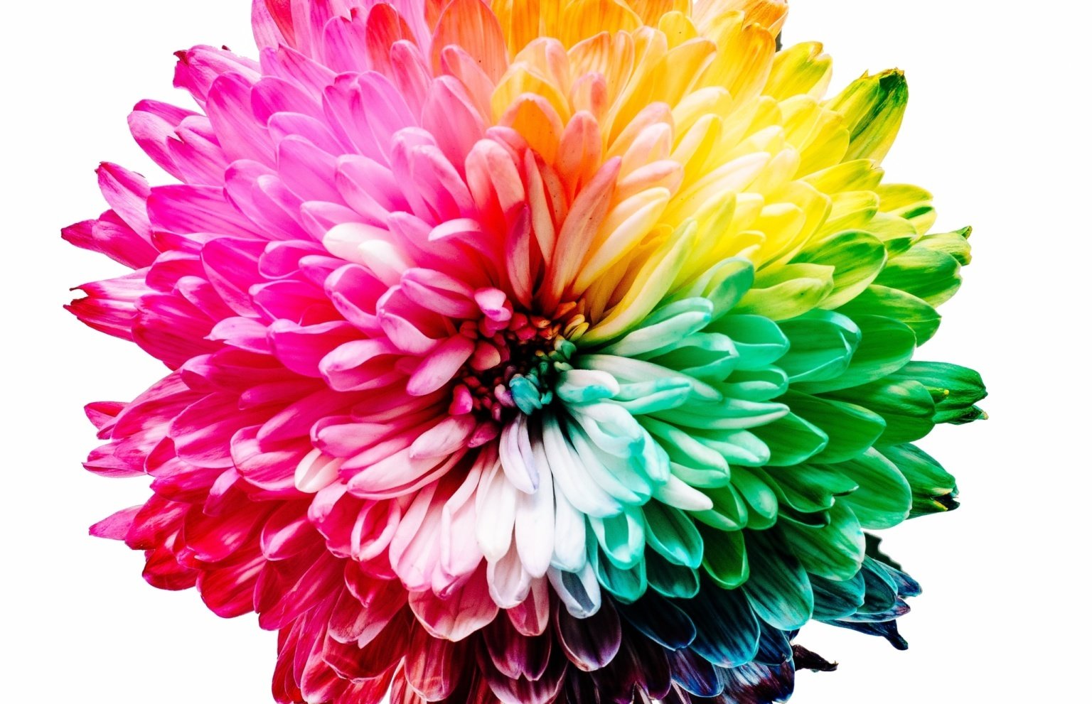 La teoria dei colori di Itten – SaGrafica.it