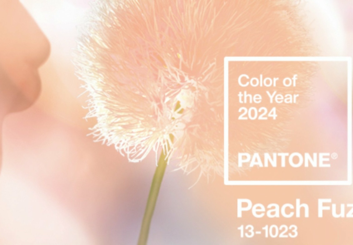 Scala di colore RAL: scopriamo cos'è – SaGrafica.it